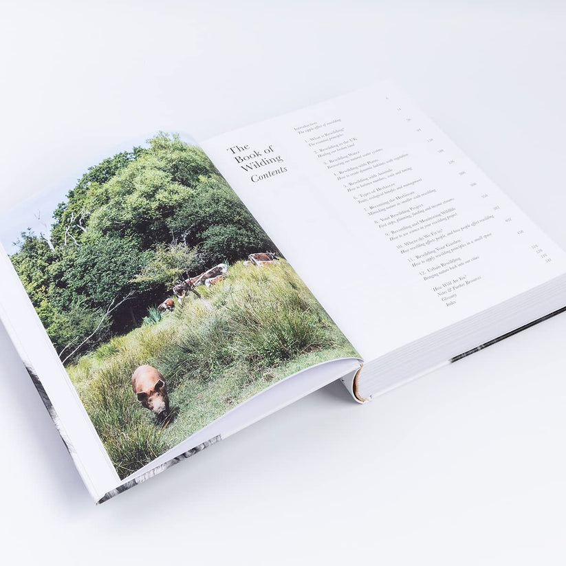 The Book of Wilding: A Practical Guide to Rewilding, Big and Small ...