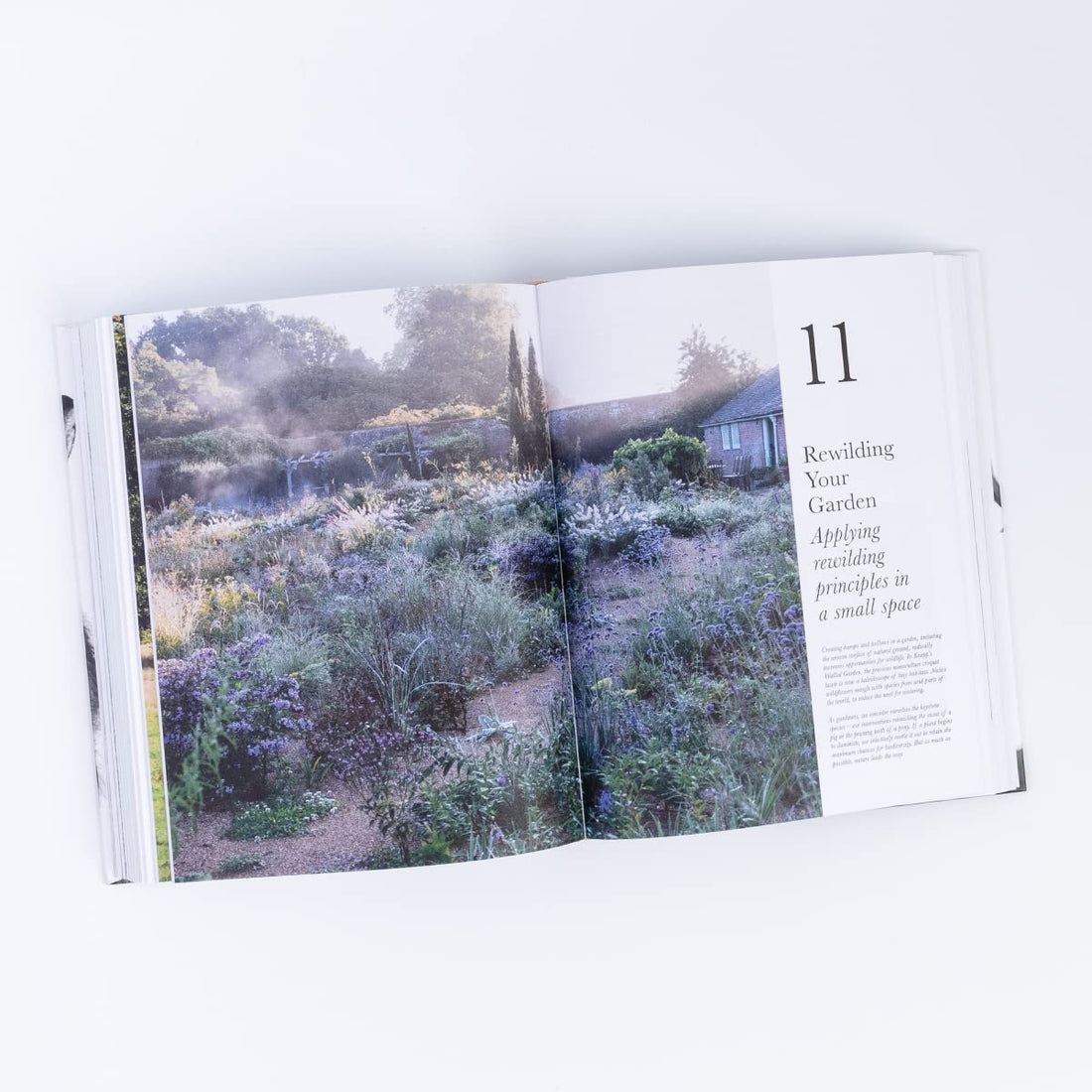 The Book of Wilding: A Practical Guide to Rewilding, Big and Small ...