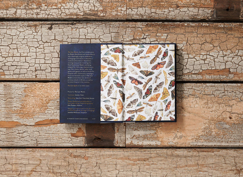 The Lost Spells by Robert Macfarlane & Jackie Morris – The Order of ...