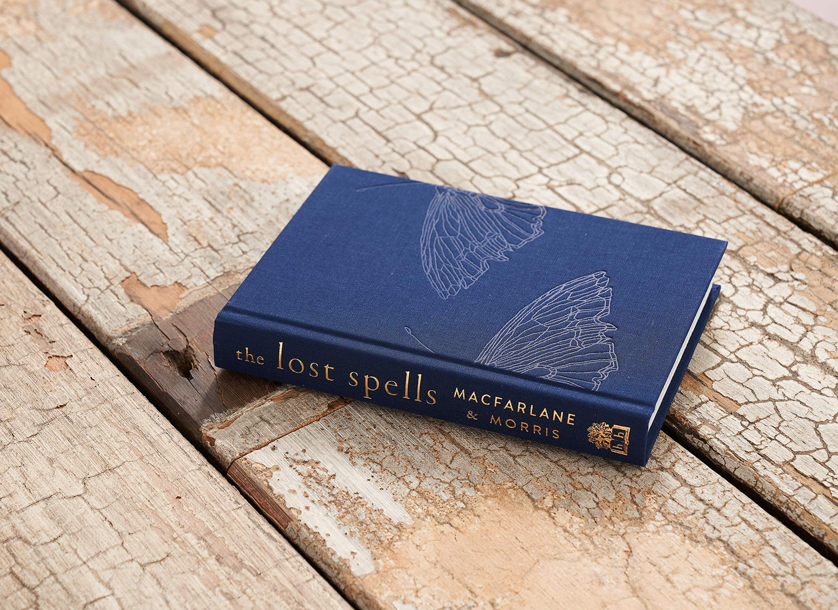 The Lost Spells by Robert Macfarlane & Jackie Morris – The Order of ...