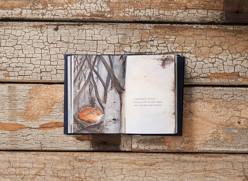 The Lost Spells by Robert Macfarlane & Jackie Morris – The Order of ...